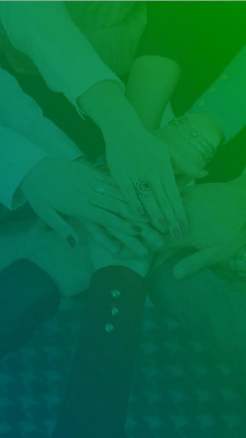 About us | Gecko Solutions